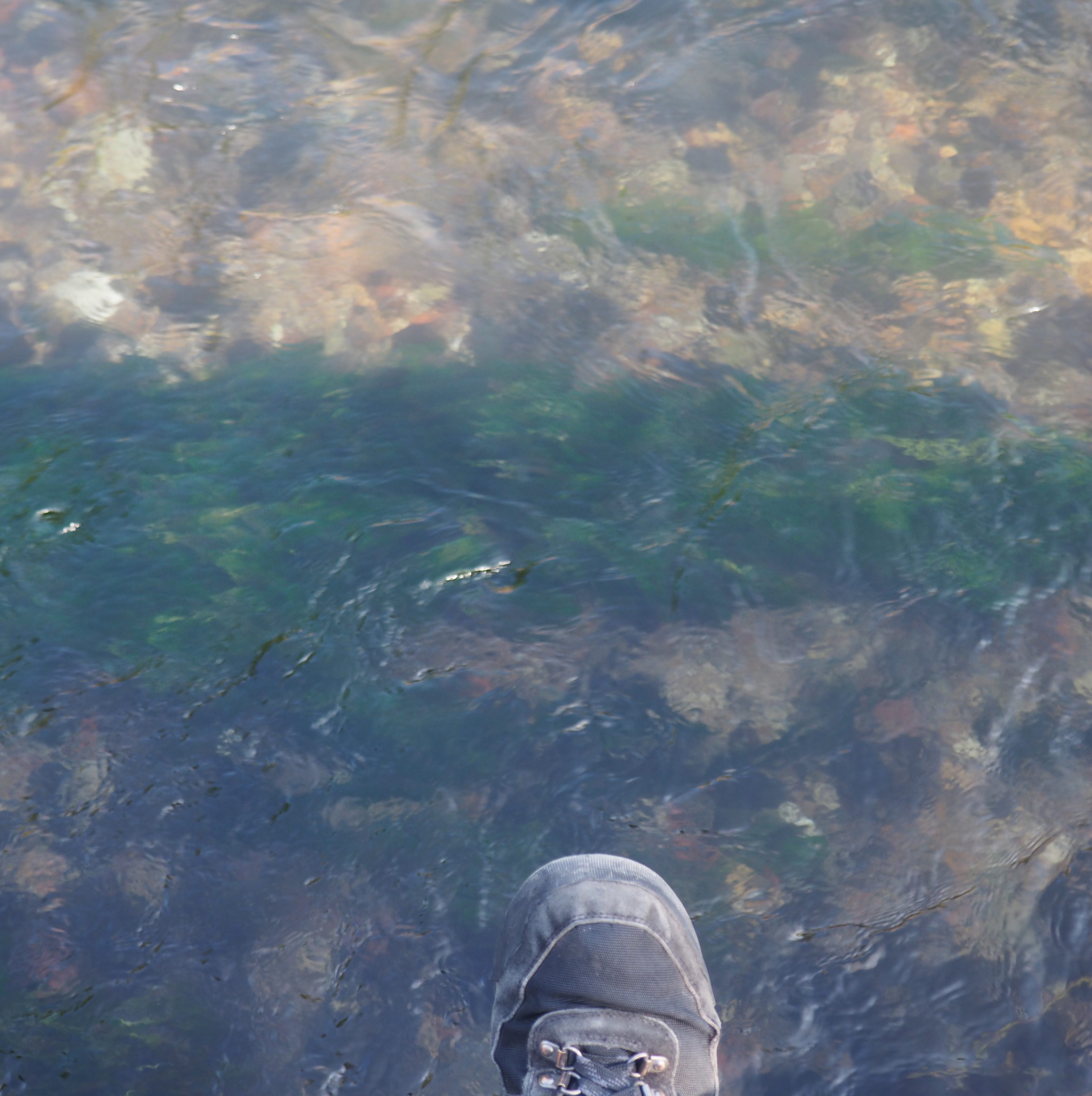 Mud at the wall – Mary Featherstone